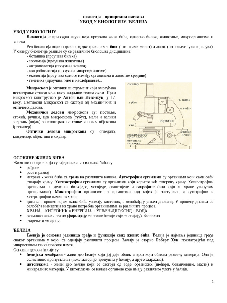 Priprema Za Malu Maturu | PDF