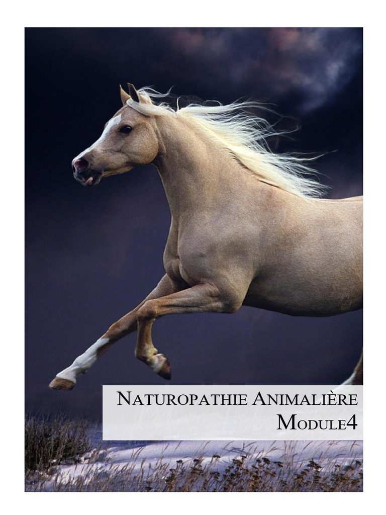 Module 4 Naturopathie Animaliere v1 | PDF