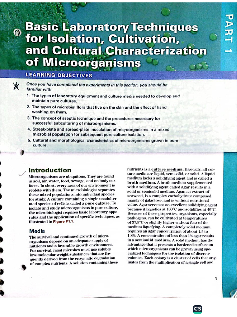 Microbiology Practical 2 (Growth Media) | PDF