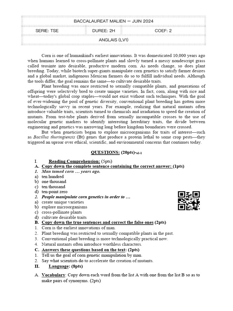 BK Bac Lv1 Anglais Tse 2024 | PDF