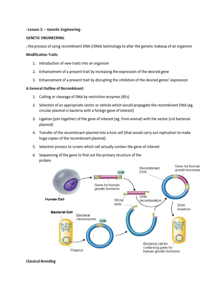 Gen Bio | PDF