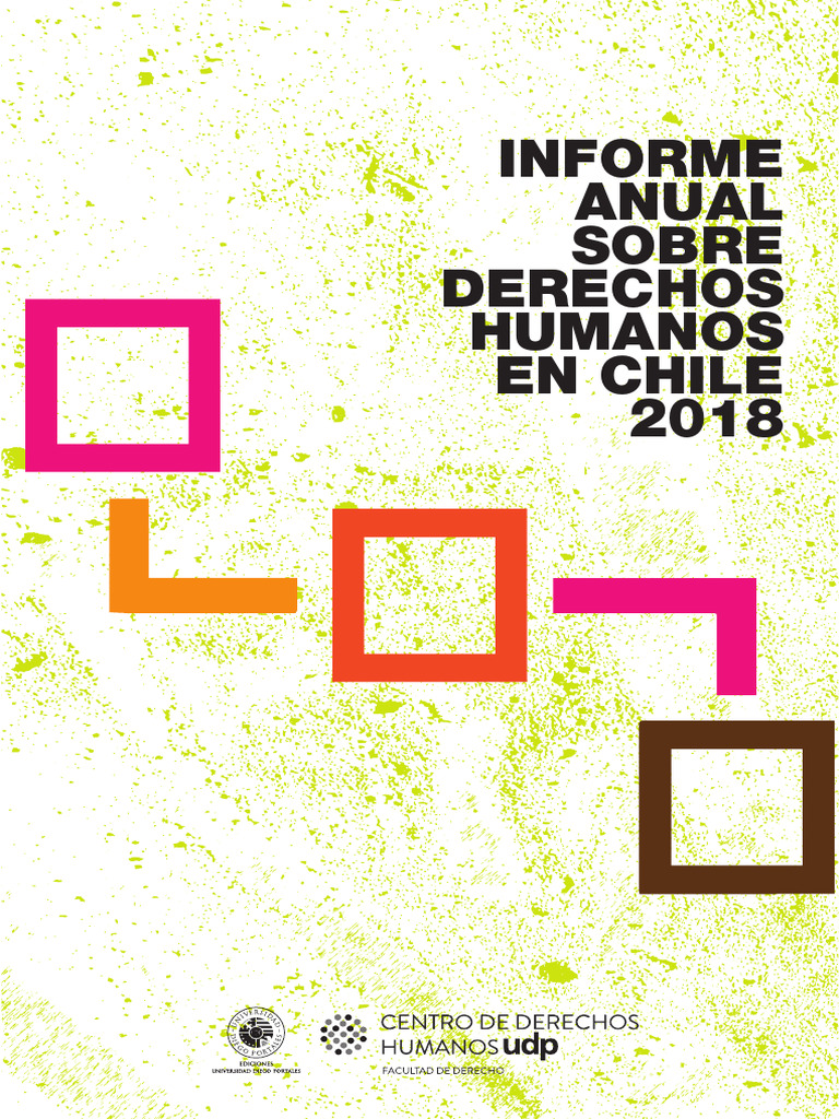 Informe DDHH-UDP 2018 (Límite Huelga) | PDF