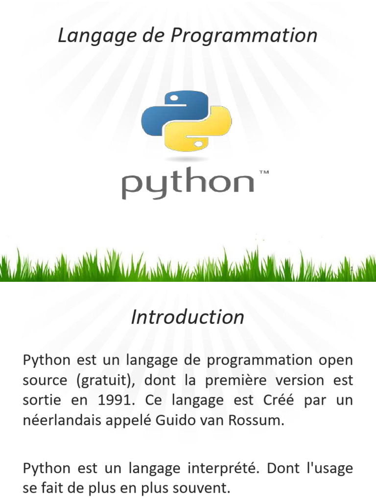 Python 1 | PDF