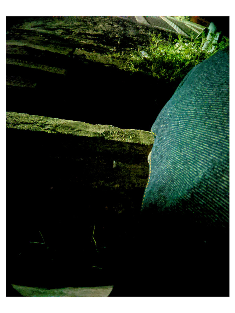 PXL 20240922 205036940.night | PDF