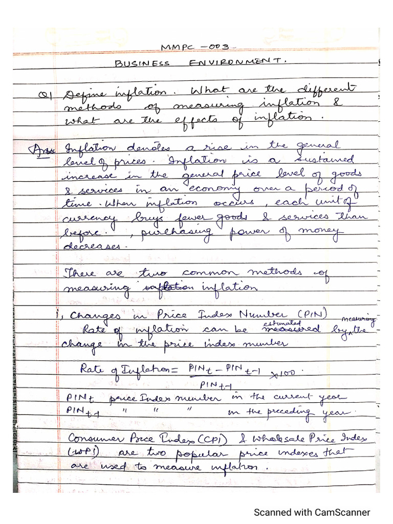 Business Environment | PDF