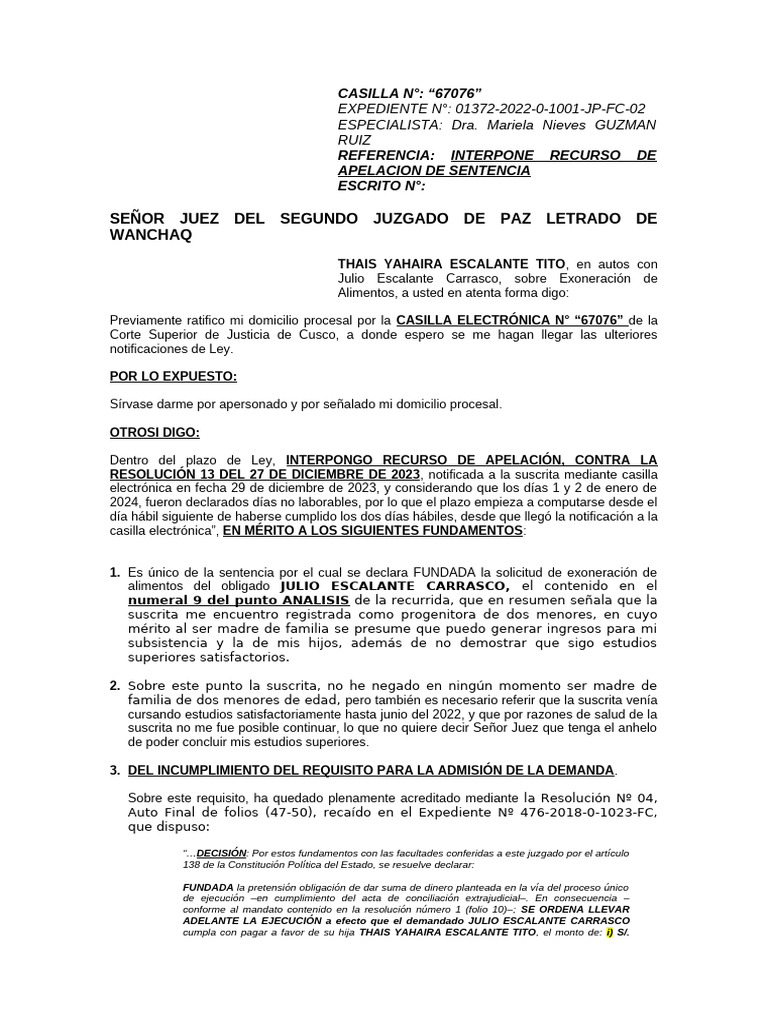 Apelacion de Sentencia Margot | PDF | Apelación | Sentencia (ley)