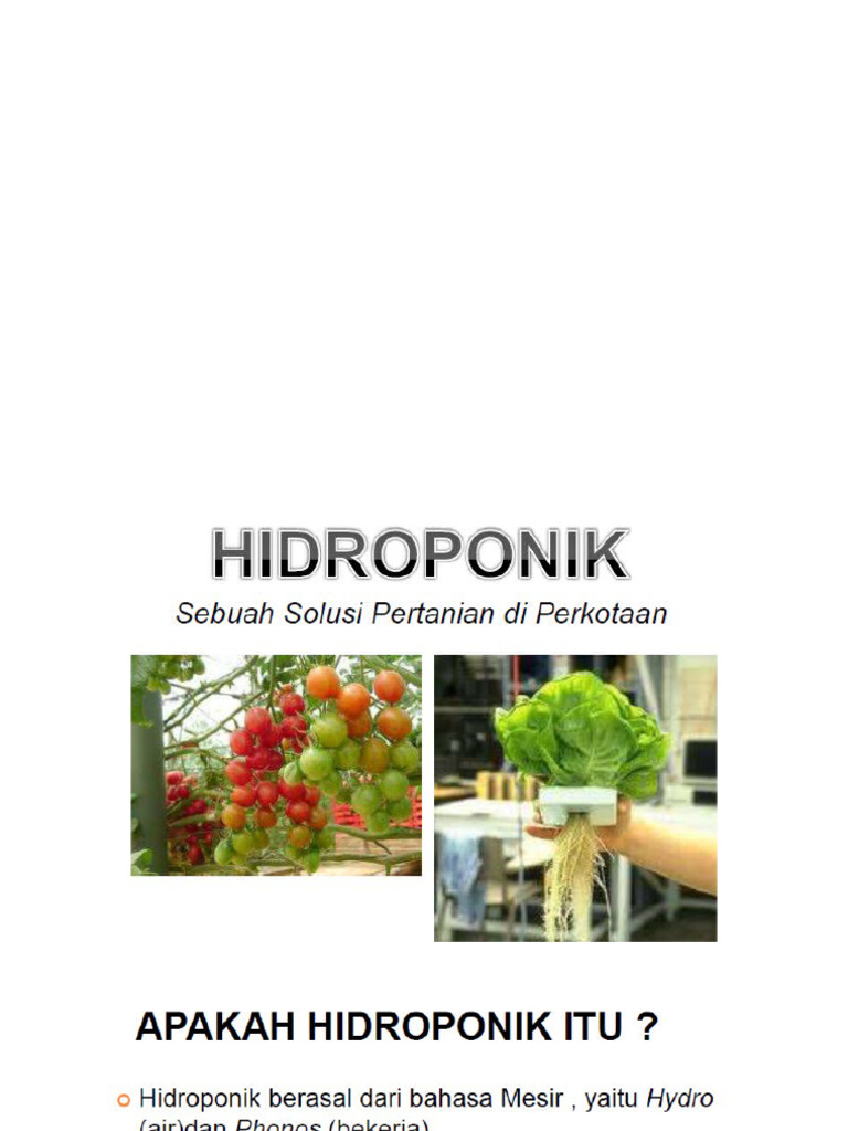Hidroponik | PDF