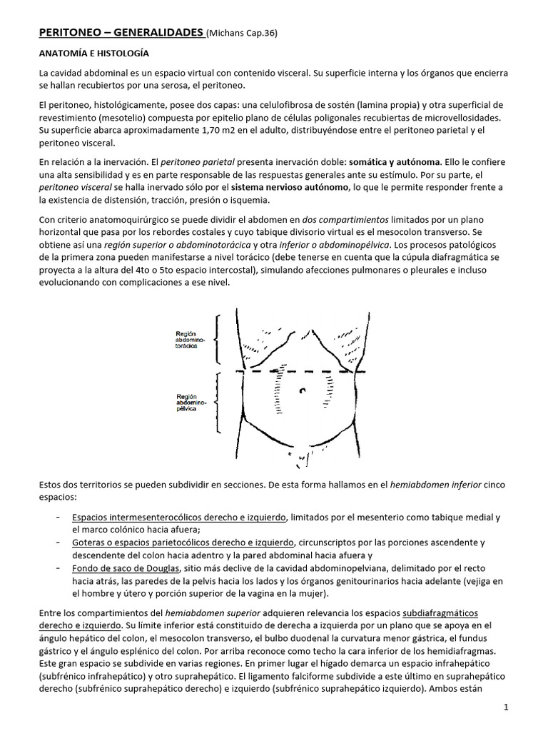 1 - Anexo de Peritonitis - PERITONEO | PDF