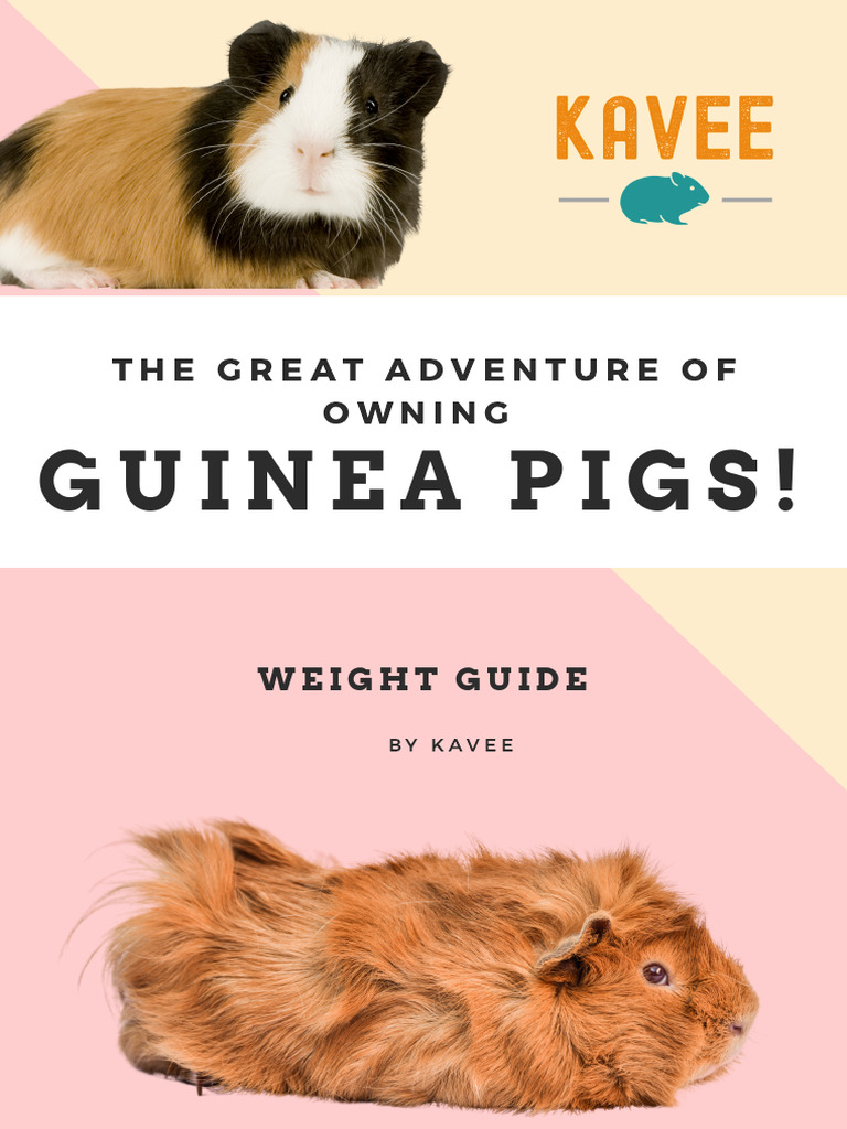 Guinea Pig weight Chart | PDF
