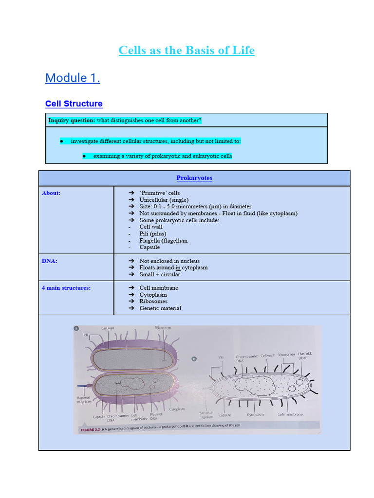BIO - syllabus notes | PDF