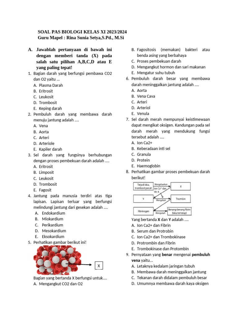 Soal PAS Biologi Kelas XI | PDF