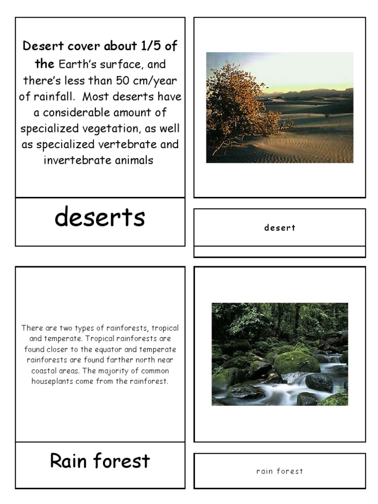 Biomes | PDF | Grassland | Wetland