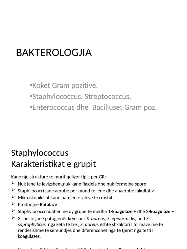 Stafilo Streptokok Bacile Grampozitiv | PDF