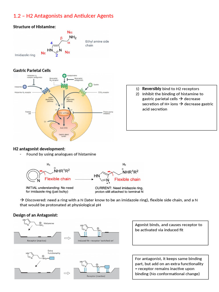 1.2 H2 Antagonist | PDF