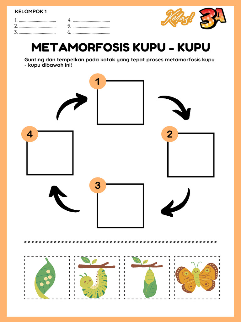 Putih Orange Ilustrasi Ipa Biologi Metamorfosis Kupu - Kupu Lembar Kerja (1) | PDF