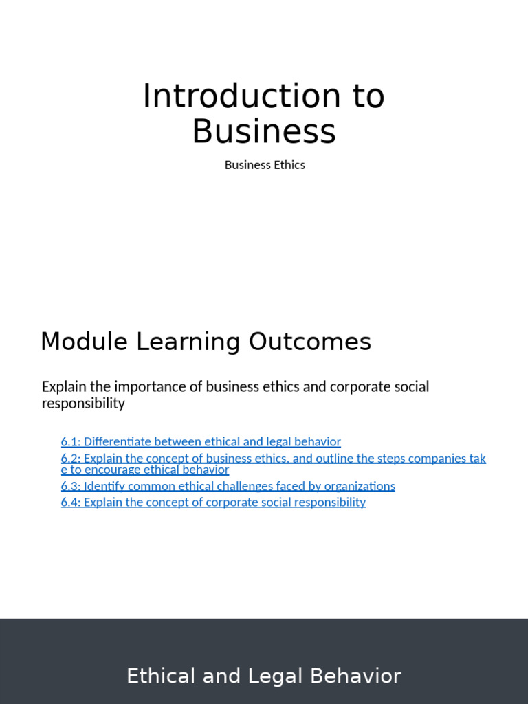 Introduction To Business | PDF