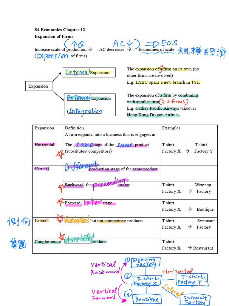 S4 Economics Chapter 12 Expansion of Firms | PDF