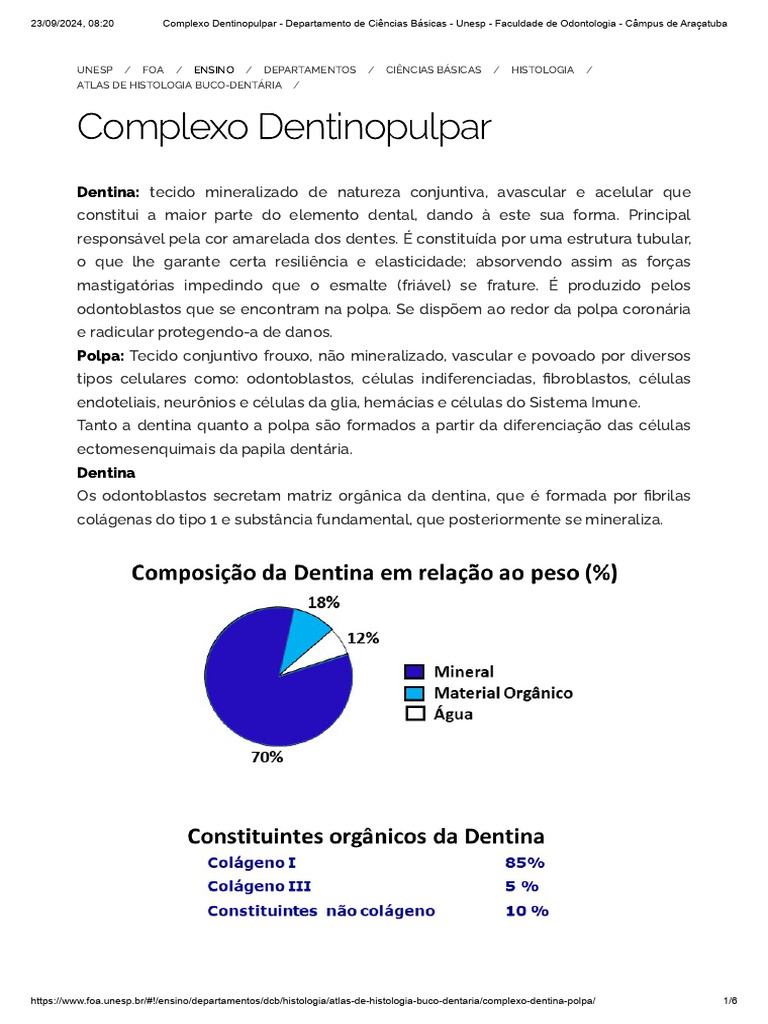 Complexo Dentinopulpar - PDF | PDF