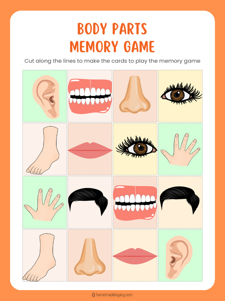 Body Parts Memory Game | PDF