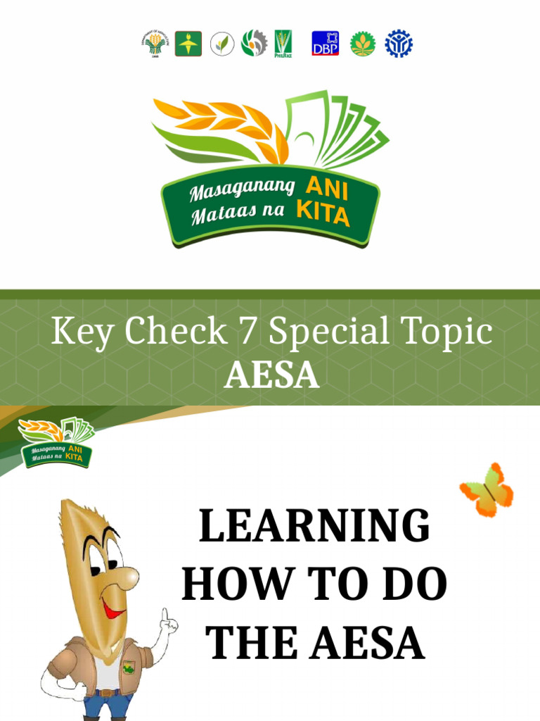 14 KeyCheck 7 Special Topic AESA | PDF