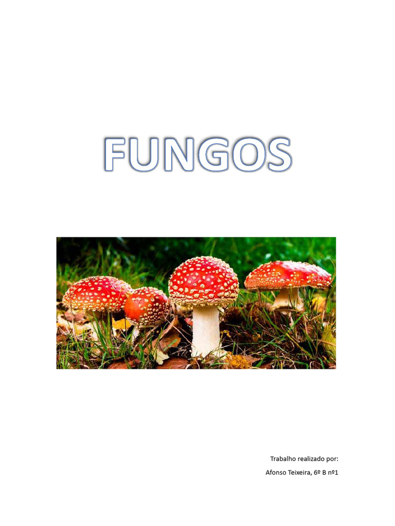 FUNGOS | PDF