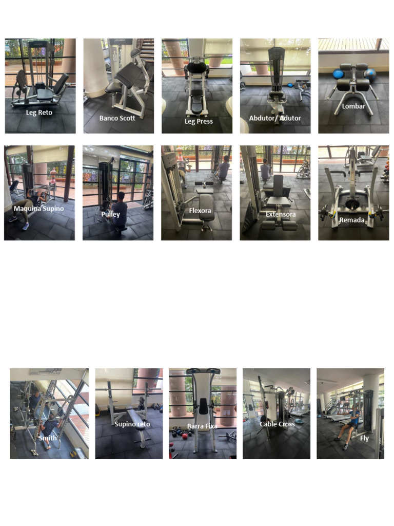 Aparelhos Academia - Exemplo de layout | PDF
