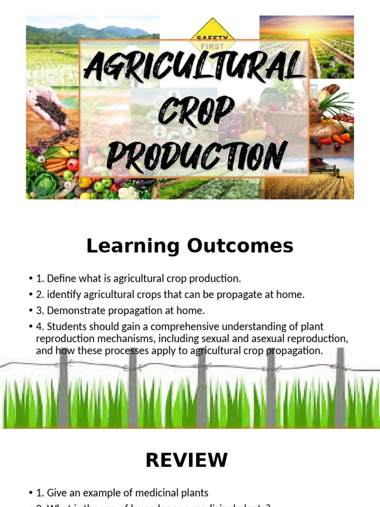 Agricultural Crop Production | PDF