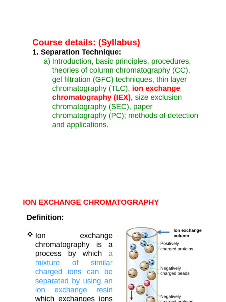 Class 8 Ion Exchange Chromatography | PDF