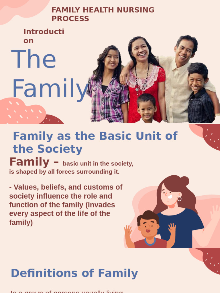 Family Nursing Process 3 | PDF