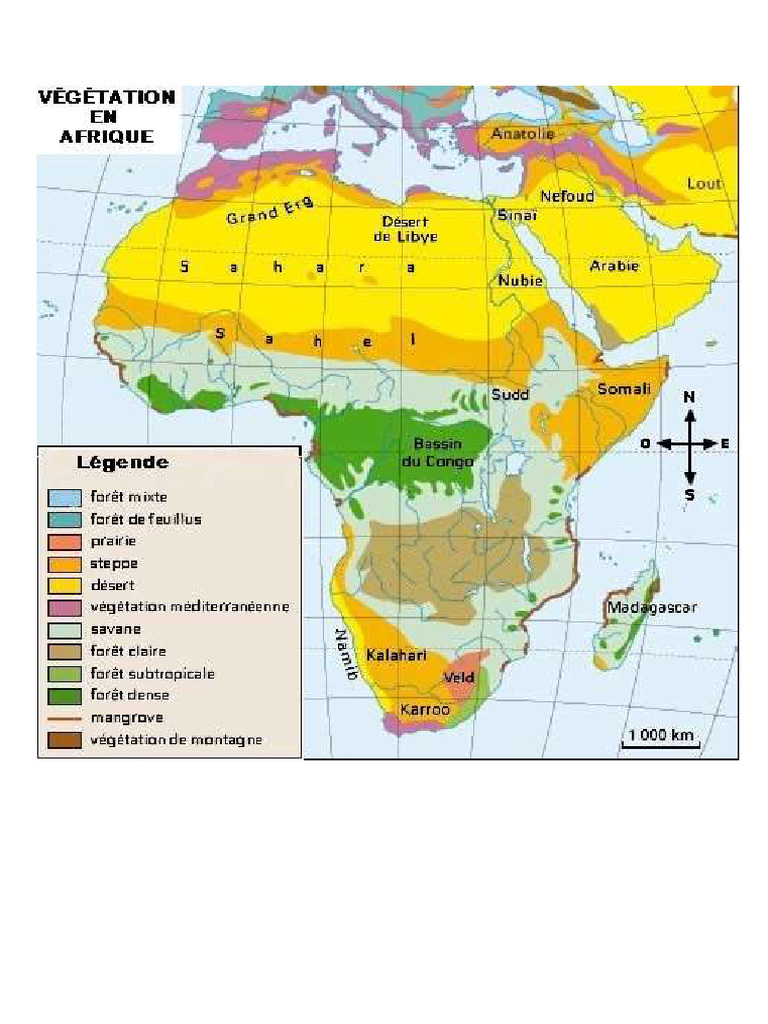 Carte Afrique Vegetation | PDF