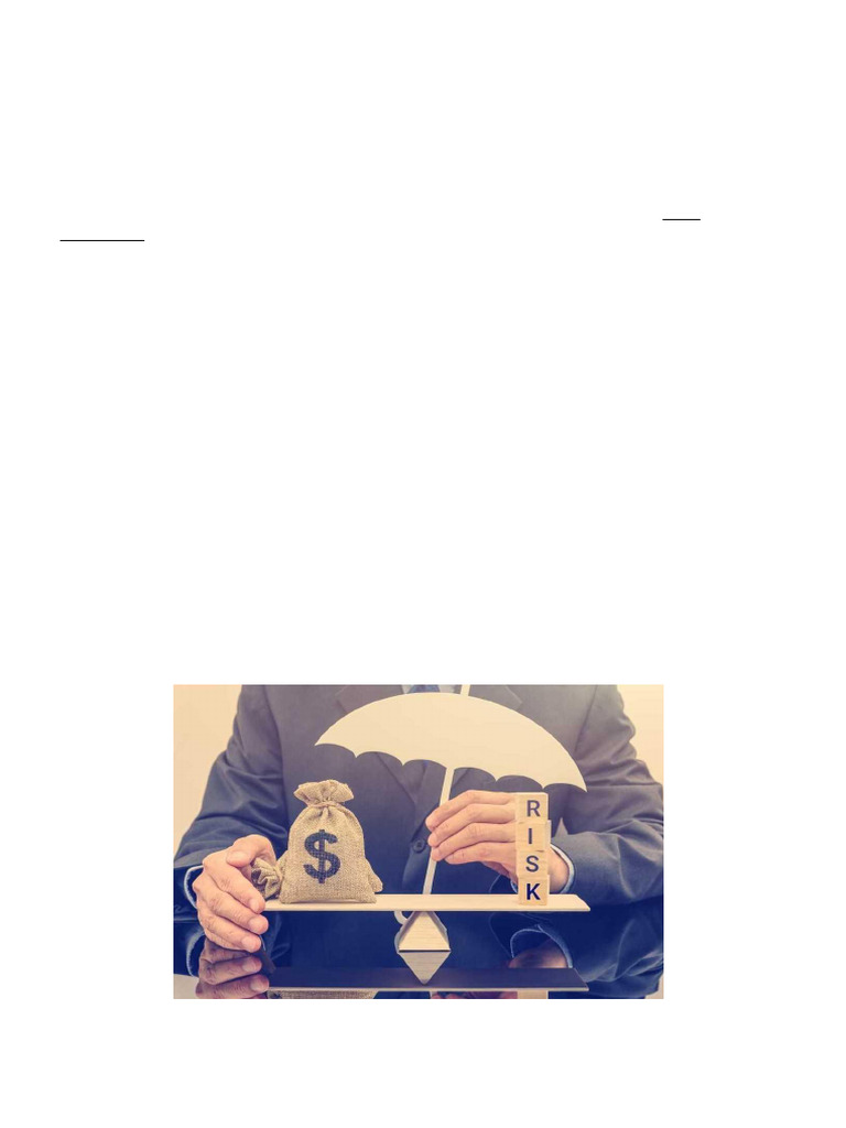 Risk Profile | PDF