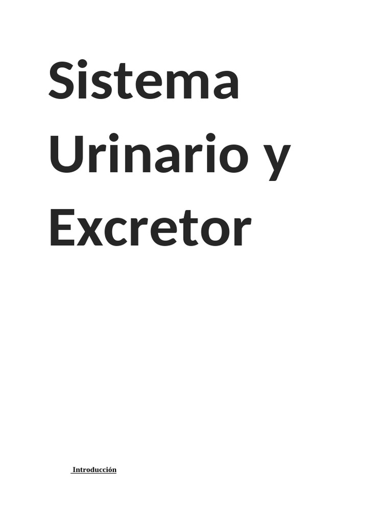 El Sistema Urinario y Excretor | PDF
