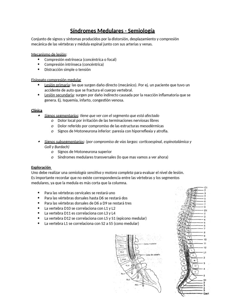 Síndromes Medulares | PDF
