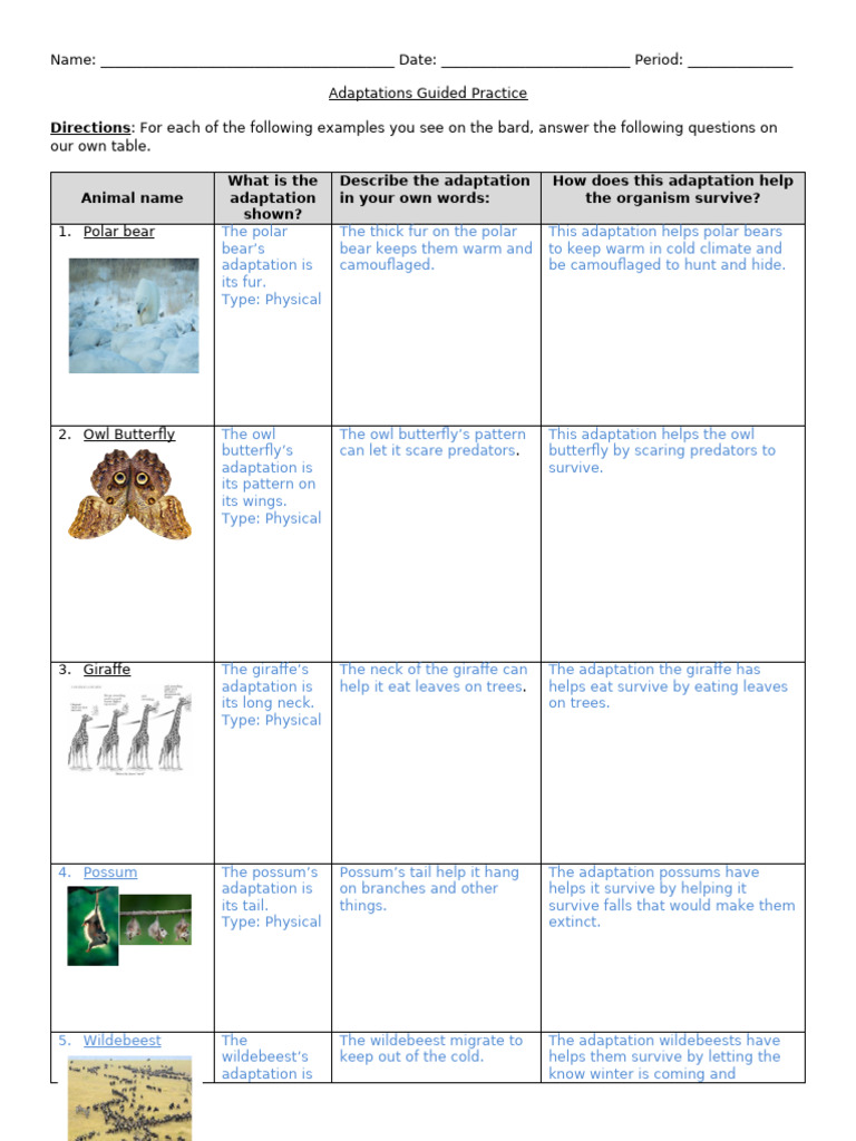 Adaptations guided Practice | PDF