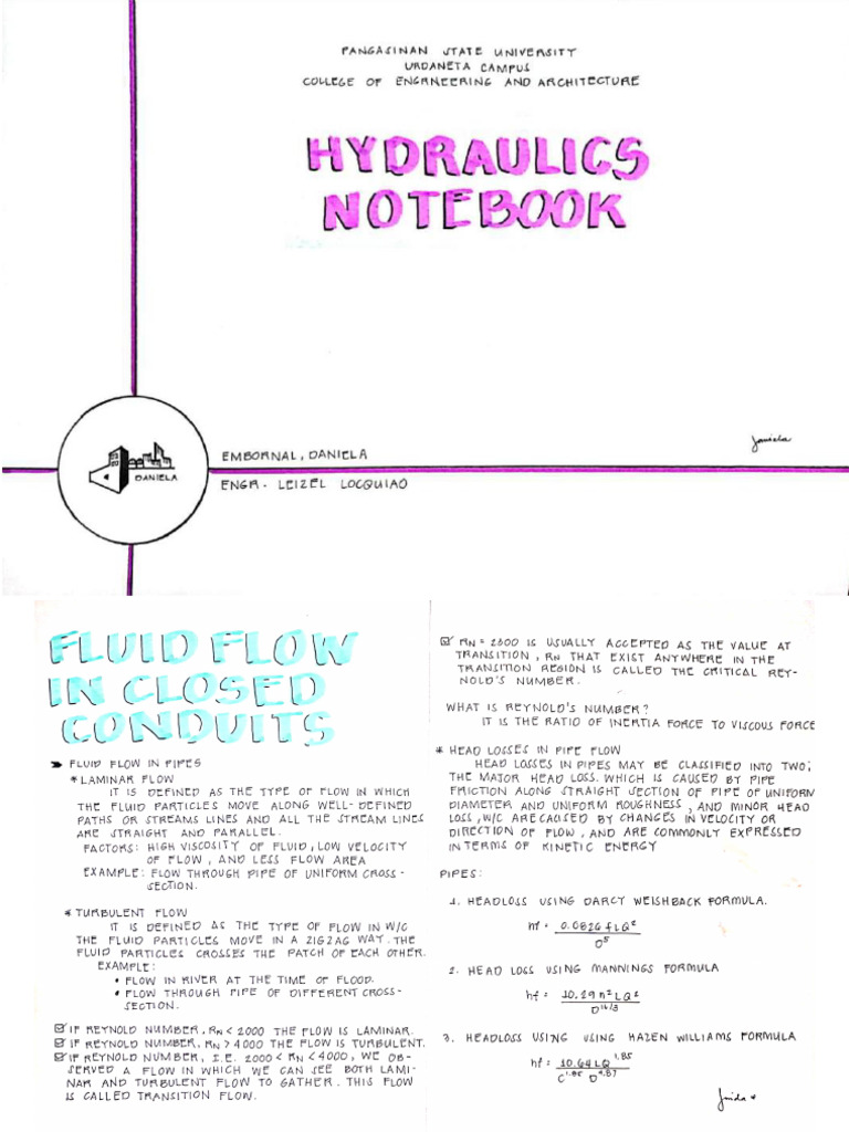 Hydra 3a NB Finals Embronal D | PDF