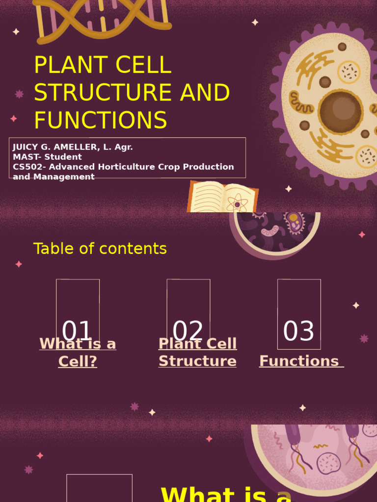 Cell Structure and Functions | PDF