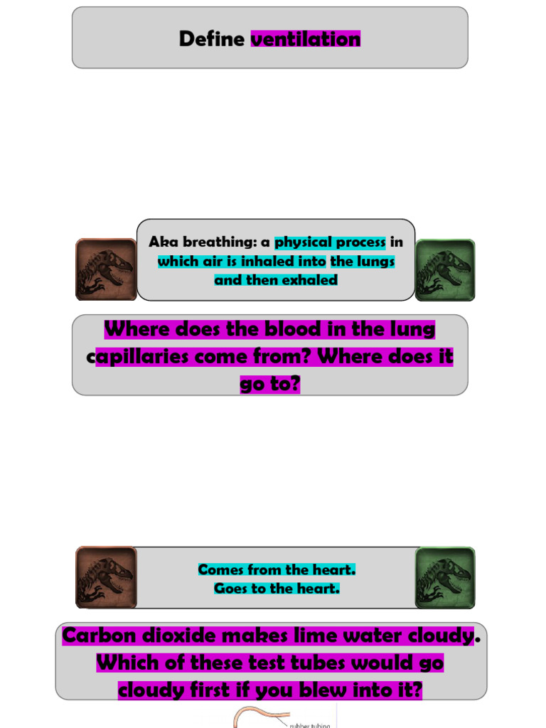 EoC 1 - Stage 8 - Unit 1 and 3 - REVIEW GAME | PDF