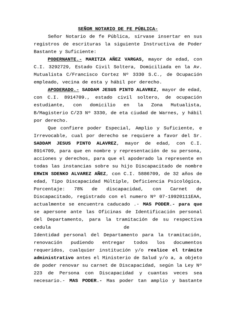 Instructiva de Poder Maritza y Sdenko | PDF