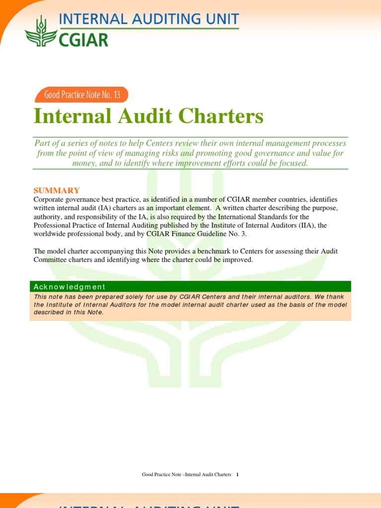 Internal Audit Feb2008 | PDF | Internal Audit | Audit Committee