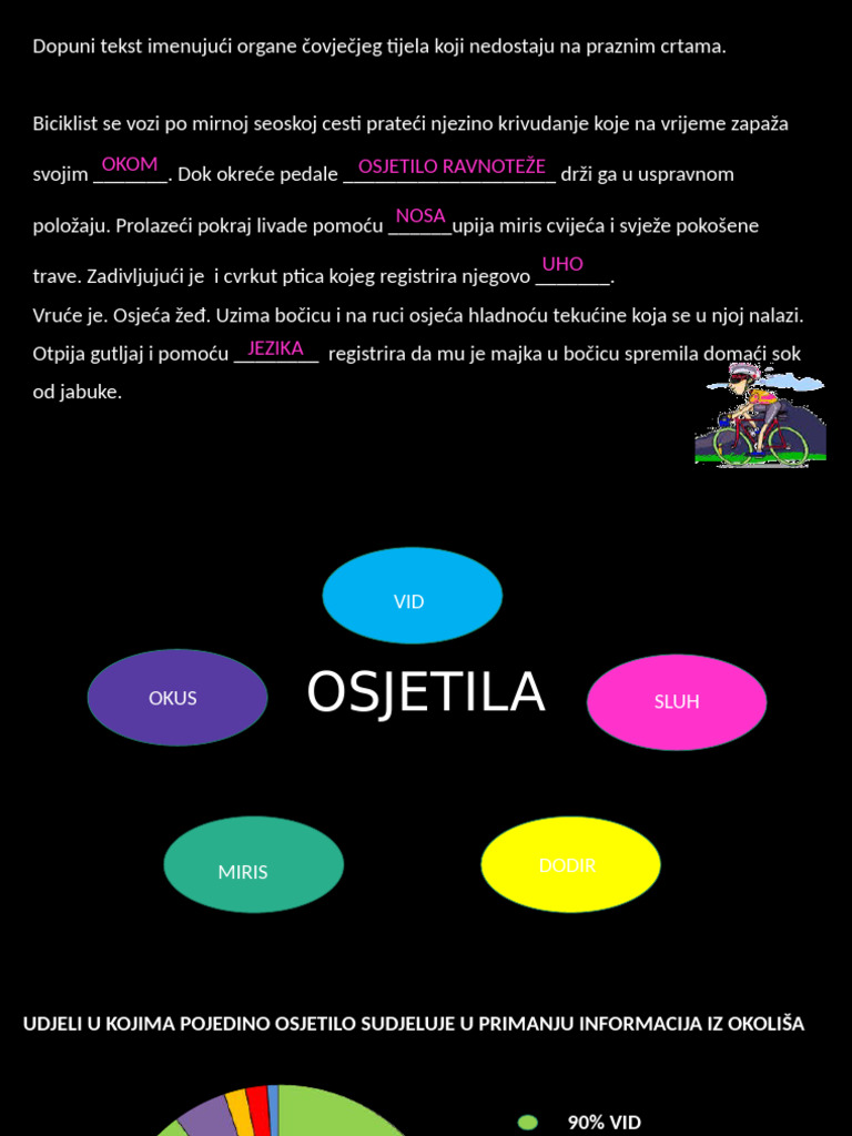 Osjetila 1 | PDF