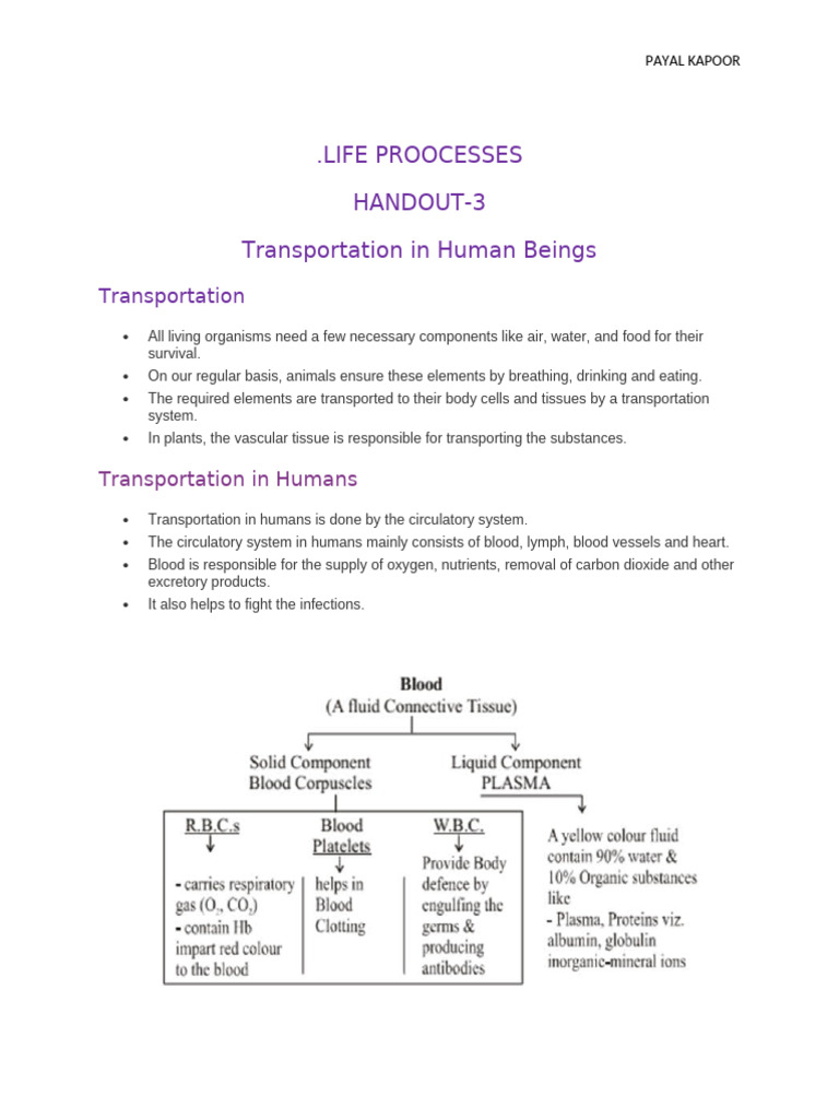Life Process Hand Out 3 Transportation Class x | PDF
