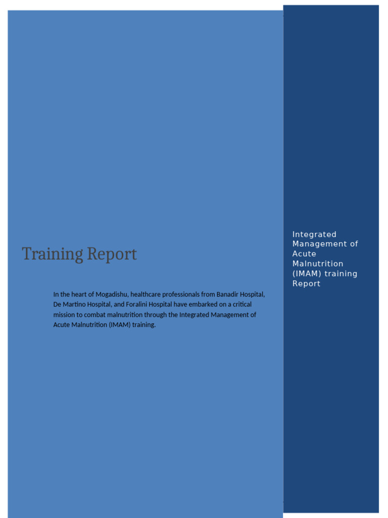 IMAM Training Report | PDF