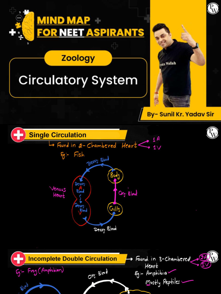 Circulatory System (One Shot) - Class Notes - NEET Mind Map | PDF