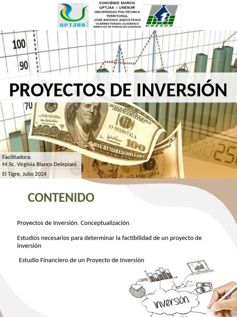 Proyectos de Inversión | PDF | Tasa interna de retorno | Finanzas y dinero