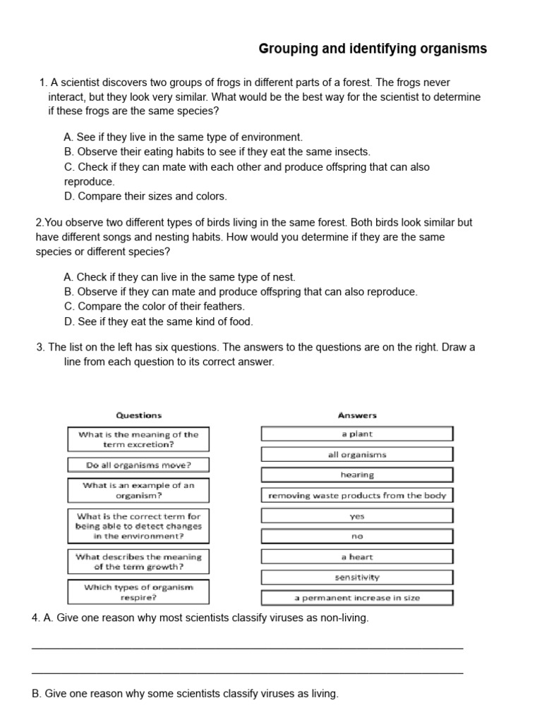 Grouping and Identifying Organisms | PDF