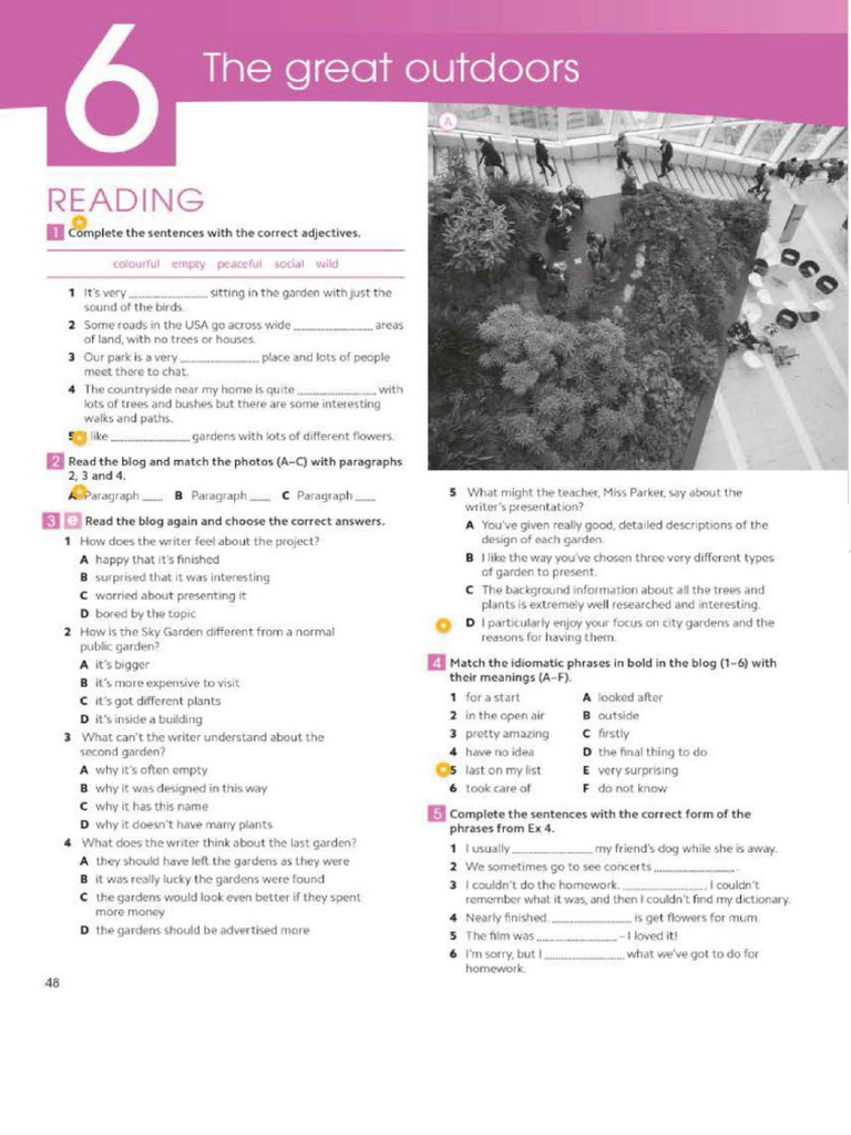 U6 - Reading-Grammar-Vocab | PDF