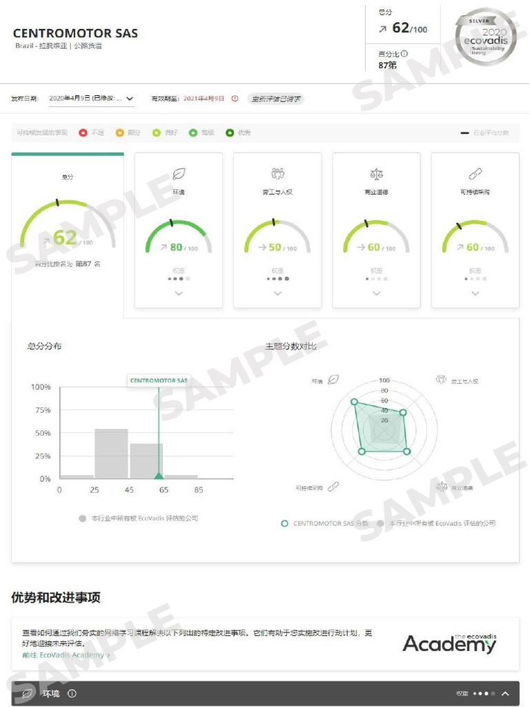 Ecovadis Scorecard Example Cn Pdf