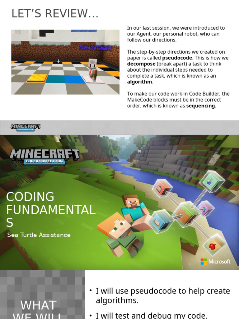 Coding Fundamentals Part 1_Sea Turtle Assistance_Presentation | PDF