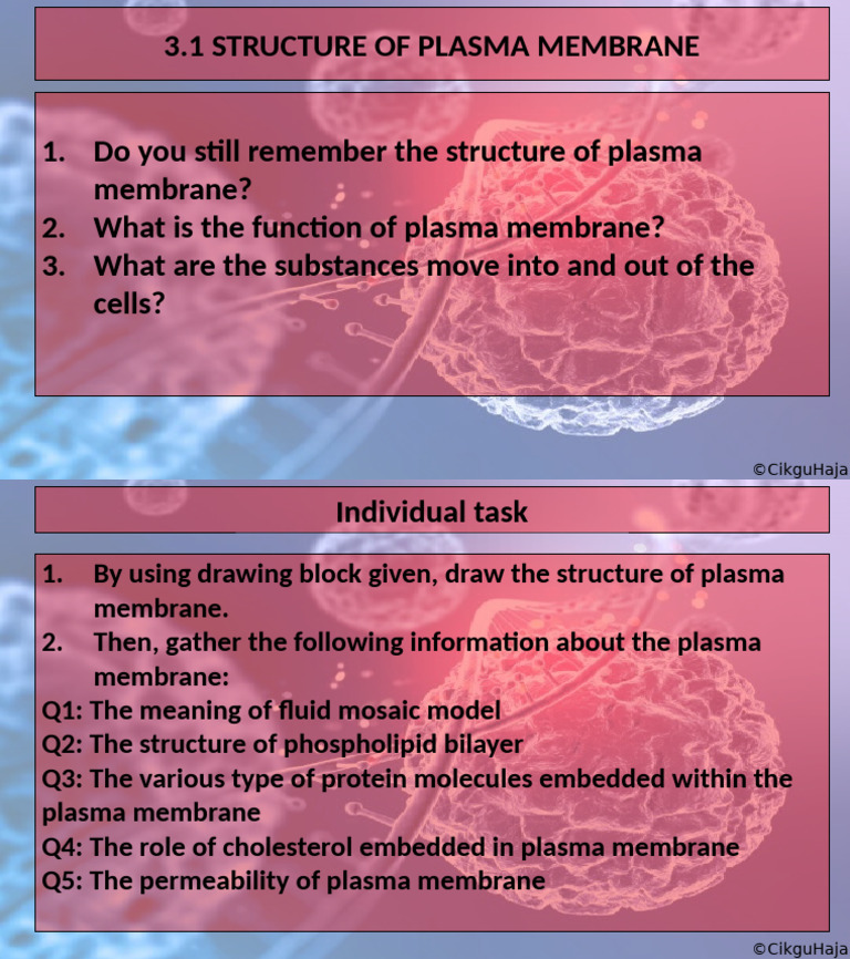 3.1 STRUCTURE OF PLASMA MEMBRANE pecut galus | PDF 3.1 STRUCTURE OF PLASMA MEMBRANE pecut galus | PDF