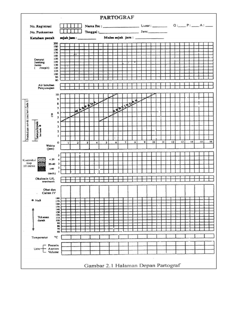 PARTOGRAF - Asli Depan | PDF